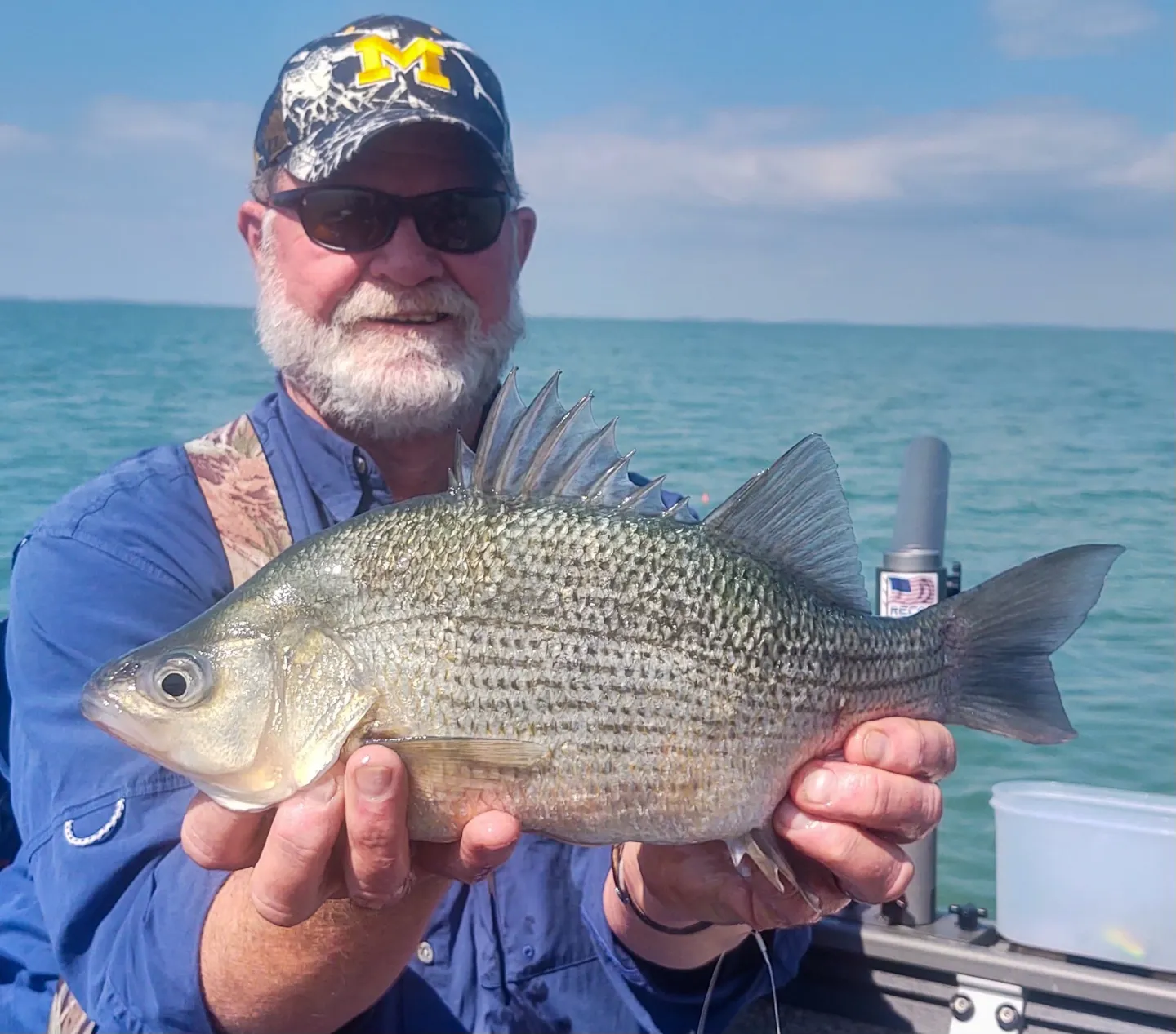 New Michigan Perch Record Set After Mistakenly... - Down Fly Adventures
